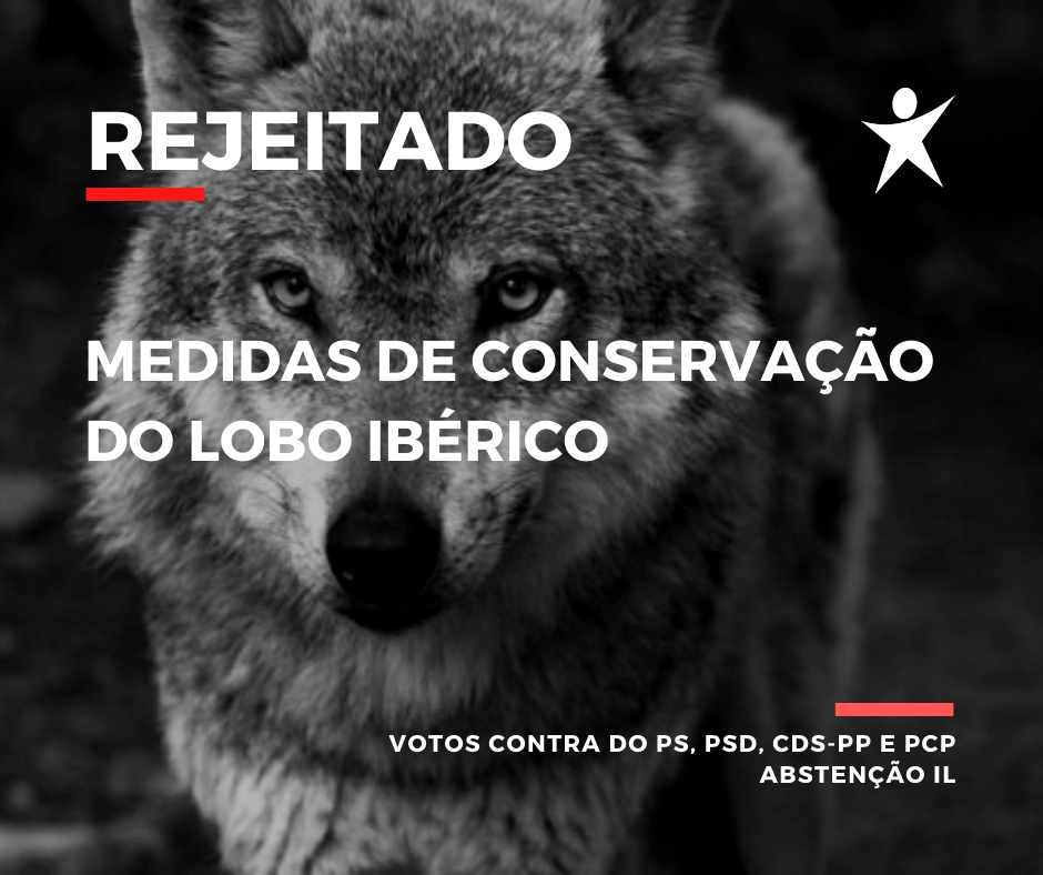 Proposta do Bloco para reforço da proteção do lobo-ibérico rejeitado ...