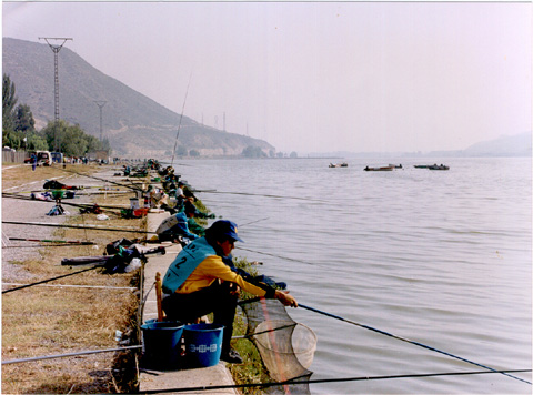 COVID-19. Pesca Local deve ser permitida ao fim de semana, defende o ...